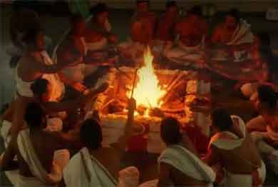 Krishnayan Gauraksha: Online Cow Donation in India | Desi Goshala